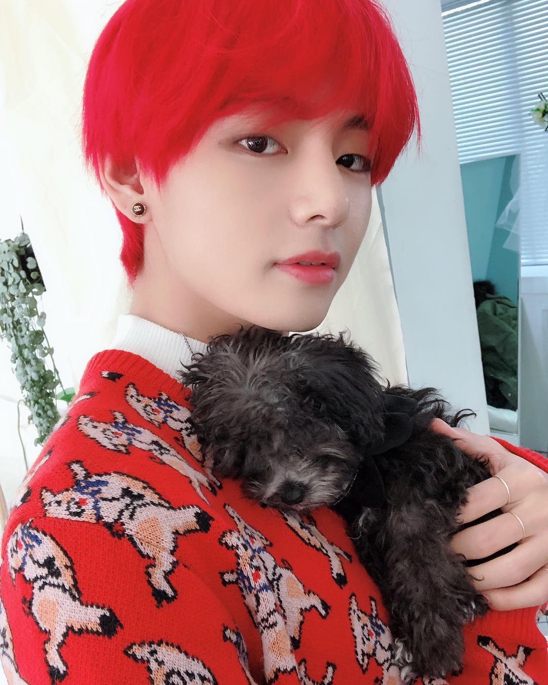 BTS Fans Share Their Encounters With Kim Taehyung In Mexico, V Even ...